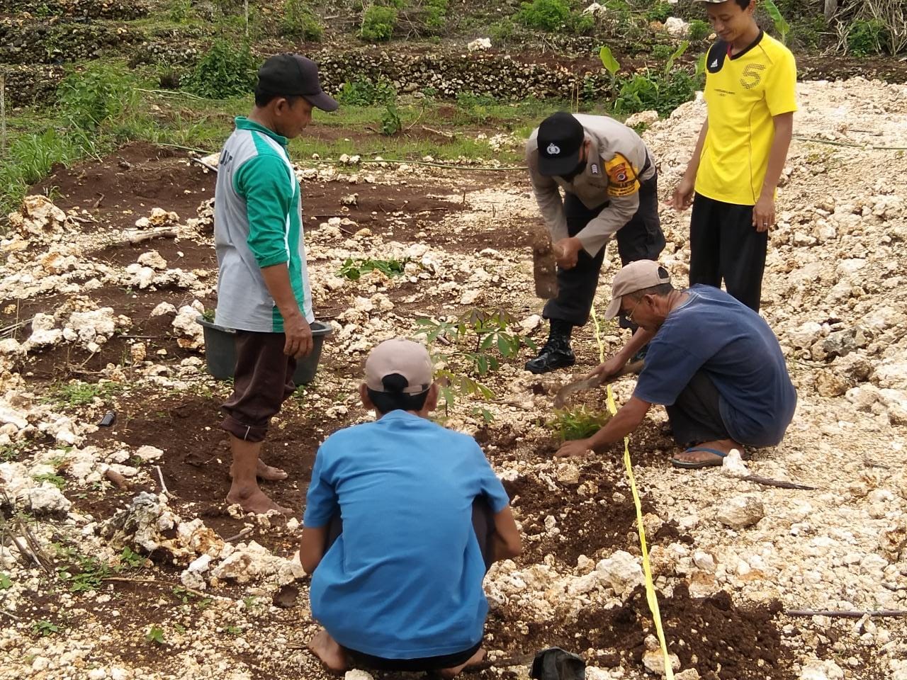 Sebanyak 2200 Bibit Tanaman Perindang dan Buah Selesai Ditanam di Objek ...